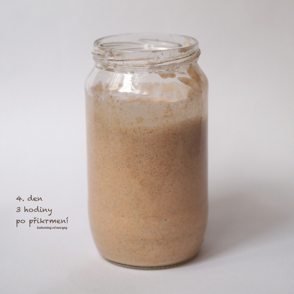 Žitný chlebový kvásek – laskominy od maryny